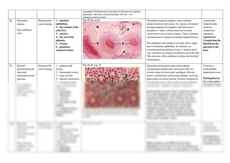 SOLUTION Histology Final Exam Specimen Studypool