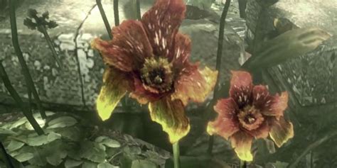 How Resident Evil S Uroboros Progenitor Golgotha Viruses Are Different