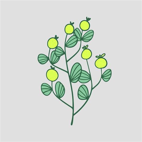 Premium Vector Botanical Flower Ornament