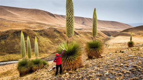 8 imperdibles lugares turísticos de Ayacucho que debes conocer
