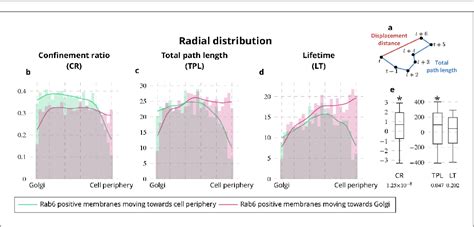 figure 4 from a quantitative approach for analyzing the spatio temporal distribution of 3d