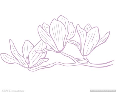 玉兰花线稿设计图 广告设计 广告设计 设计图库 昵图网