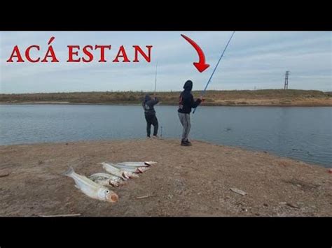 RIO SALADO PUENTE MANANTIALES POR LA RUTA 41 ASI ESTA LA PESCA EN ESTE