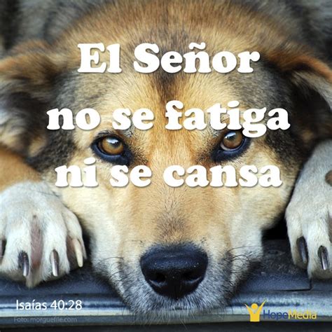 Dios Eterno Es Jehov El Cual Cre Los Confines De La Tierra No