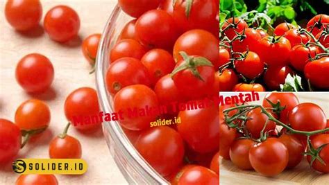 Temukan Manfaat Makan Tomat Mentah Yang Jarang Diketahui Solider