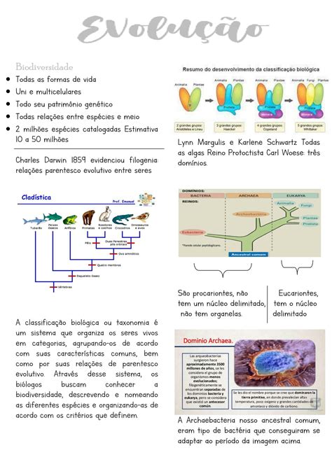SOLUTION Resumo De Biologia Evolu O Studypool