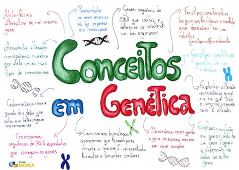 Mapa Mental Engenharia Genetica Engenharia Genetica Genetica Resumo