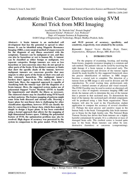automatic brain cancer detection using svm kernel trick from mri imaging pdf brain tumor