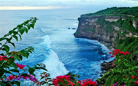 Tierra Costa Acantilado Costa Flor Horizonte Indonesia Océano