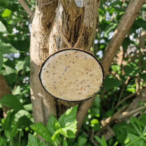 Ivel Valley Wild Bird Food Top 10 Christmas Gifts For Wildlife Lovers