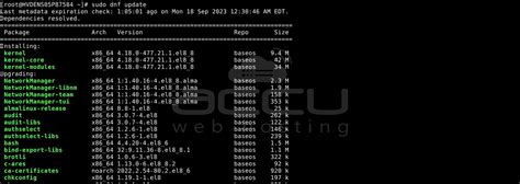 How To Manually Install And Configure Bind DNS On A Linux Distro