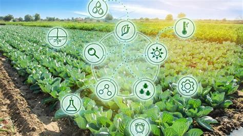 La mejora de los suelos como prioridad para la producción agrícola