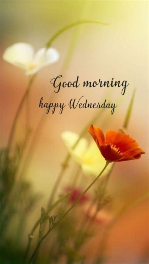 Happy Wednesday Quotes Images