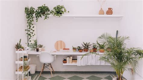Como decorar e organizar um espaço de estudo
