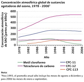 Informe En Resumen 2009