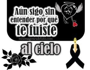 Porque Te Fuiste Al Cielo