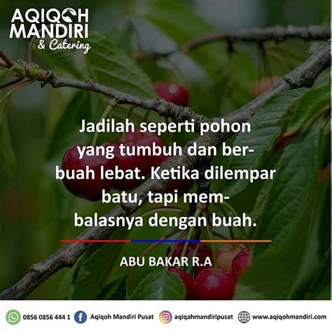 Motivasi Sabtu Pagi Terdapat Sebuah Kata Motivasi Oleh Sahabat Nabi