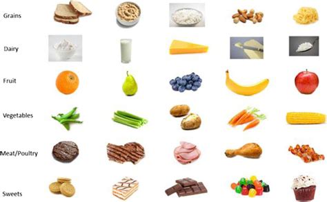 Food Images Used In Experiment Images Were Shown Individually And In