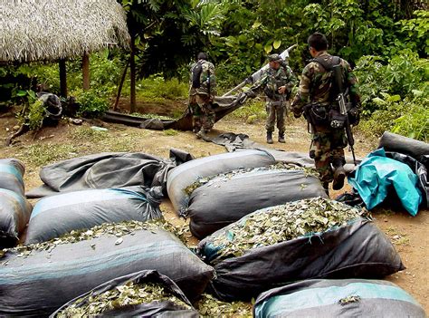Bolivia asume lucha contra narcotráfico como política de Estado La