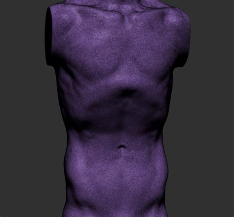 Modelo 3d Torso Masculino V2 TurboSquid 1404472