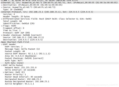 ospf的数据包抓包分析 ospf抓包分析 csdn博客