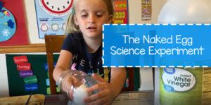 The Naked Egg Science Experiment