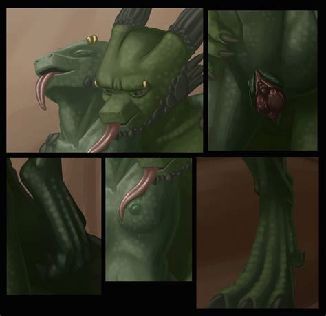 Scaly Lovin Detail By Mysterybbq Hentai Foundry