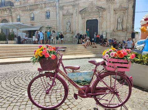 From Brindisi Alberobello Locorotondo Ostuni Full Day 8h GetYourGuide