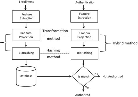 an example of hybrid method download scientific diagram