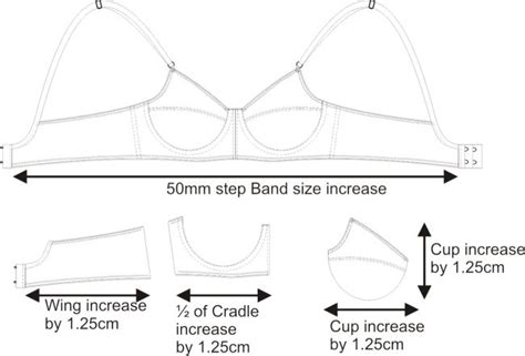 How To Make A Bra 1 Free Article Foundations Revealed Bra Sewing Bra Pattern Sewing Bras