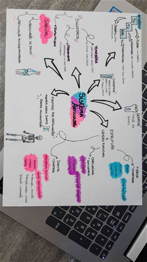 Mapas Mentais Sobre SISTEMA ESQUELETICO Study Maps