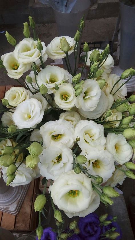 A Bouquet Of White Flowers Sitting On Top Of A Wooden Table