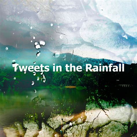 Tweets In The Rainfall Album By Lighting Thunderstorms Rain Storm