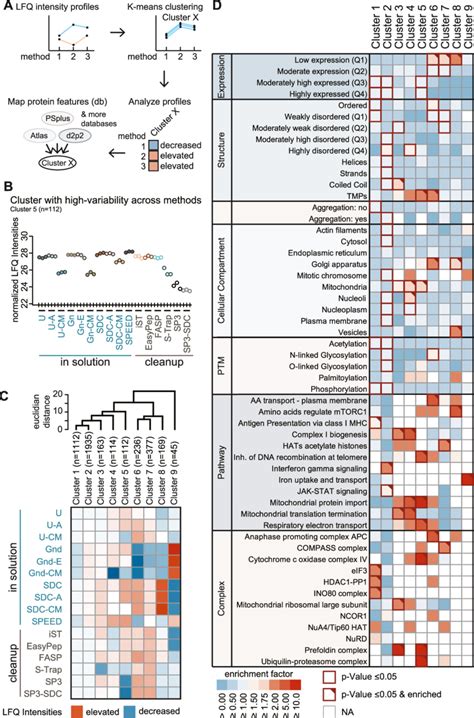 exploratory k means cluster analysis and descriptive guide matrix a download scientific