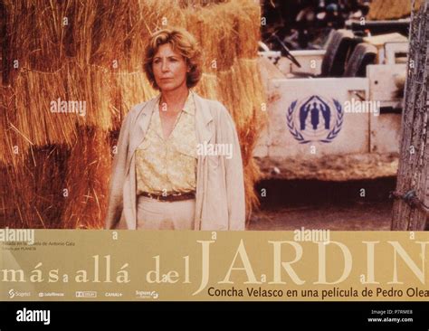 Pelicula Mas Alla De Jardin La Direccion Pedro Olea