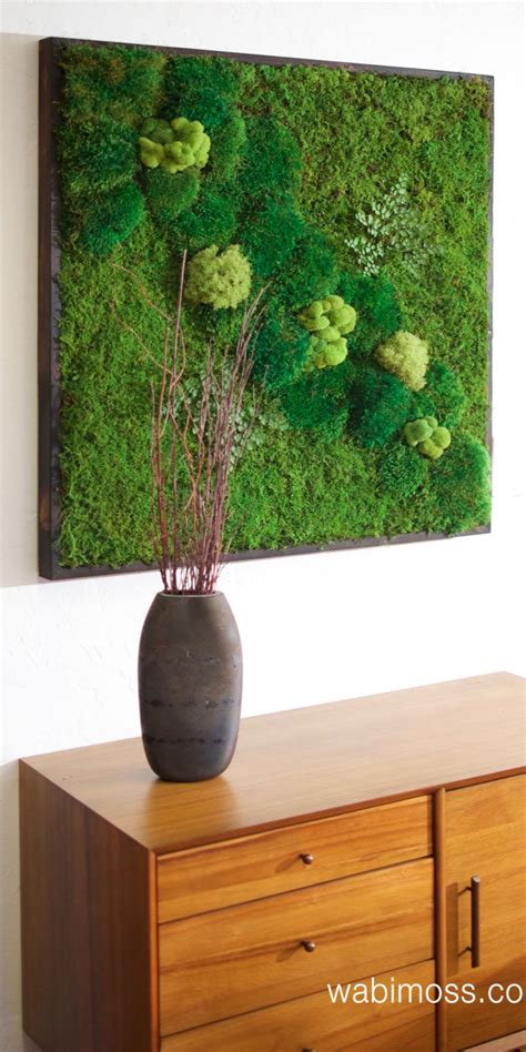 58x58 Real Preserved Moss Wall Art Green Wall Collage No Sticks No