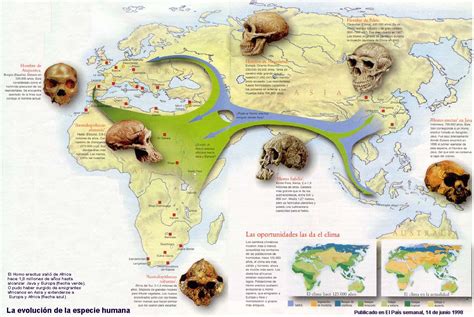 CIENCIAS PARA EL MUNDO CONTEMPORÁNEO La evolución de la especie humana
