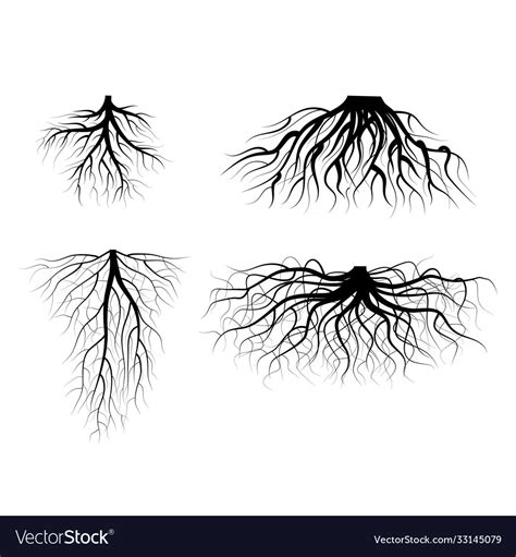 Tree Roots Underground Drawing