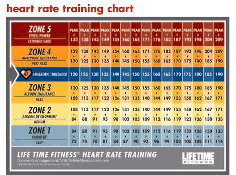 Health Club Gym Fitness Center In Sterling Life Time Health Club