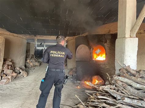 Pf Incinera Mais De Tonelada De Drogas No Cear Pol Cia Federal
