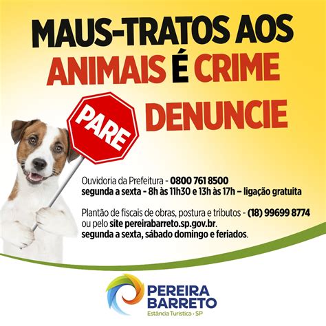 Arquivos denúncia maus tratos animais Prefeitura Municipal da