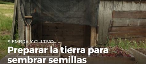 Guía Completa Cómo Preparar la Tierra para Sembrar Técnicas y