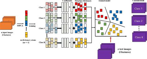our structure preserving dimensionality reduction system for robust download scientific diagram