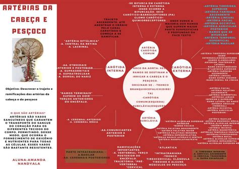 Mapa mental Artérias da cabeça e pescoço Anatomia de Cabeça e Pescoço