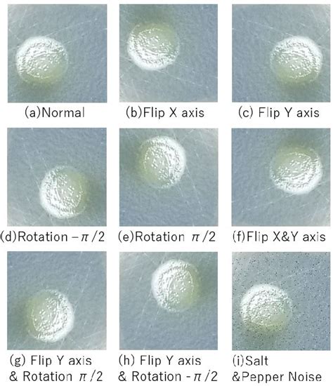 Figure 1 From Deep Learning Approach For Classifying Bacteria Types