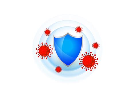 How Does The Immune System Work Main Functionalities