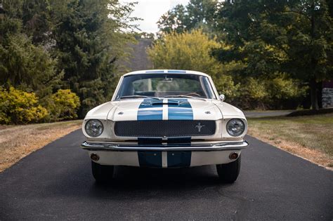 Shelby Mustang Gt Image Abyss