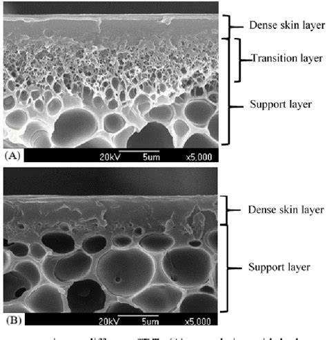PDF Modification Of Asymmetric Polysulfone Membrane Surfaces Using
