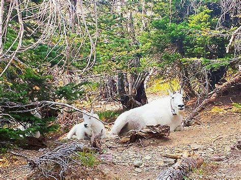 En Things To Do In Montana TuGo Travel Blog Fr Things To Do In