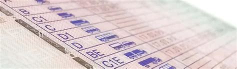 Cuánto cuesta renovar el carnet de conducir Precio tasas DGT idoneo